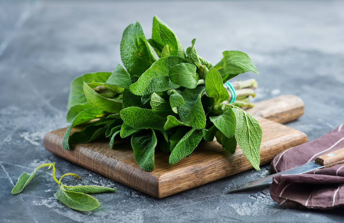 Supercharge your brain function and protect the heart with sage ...